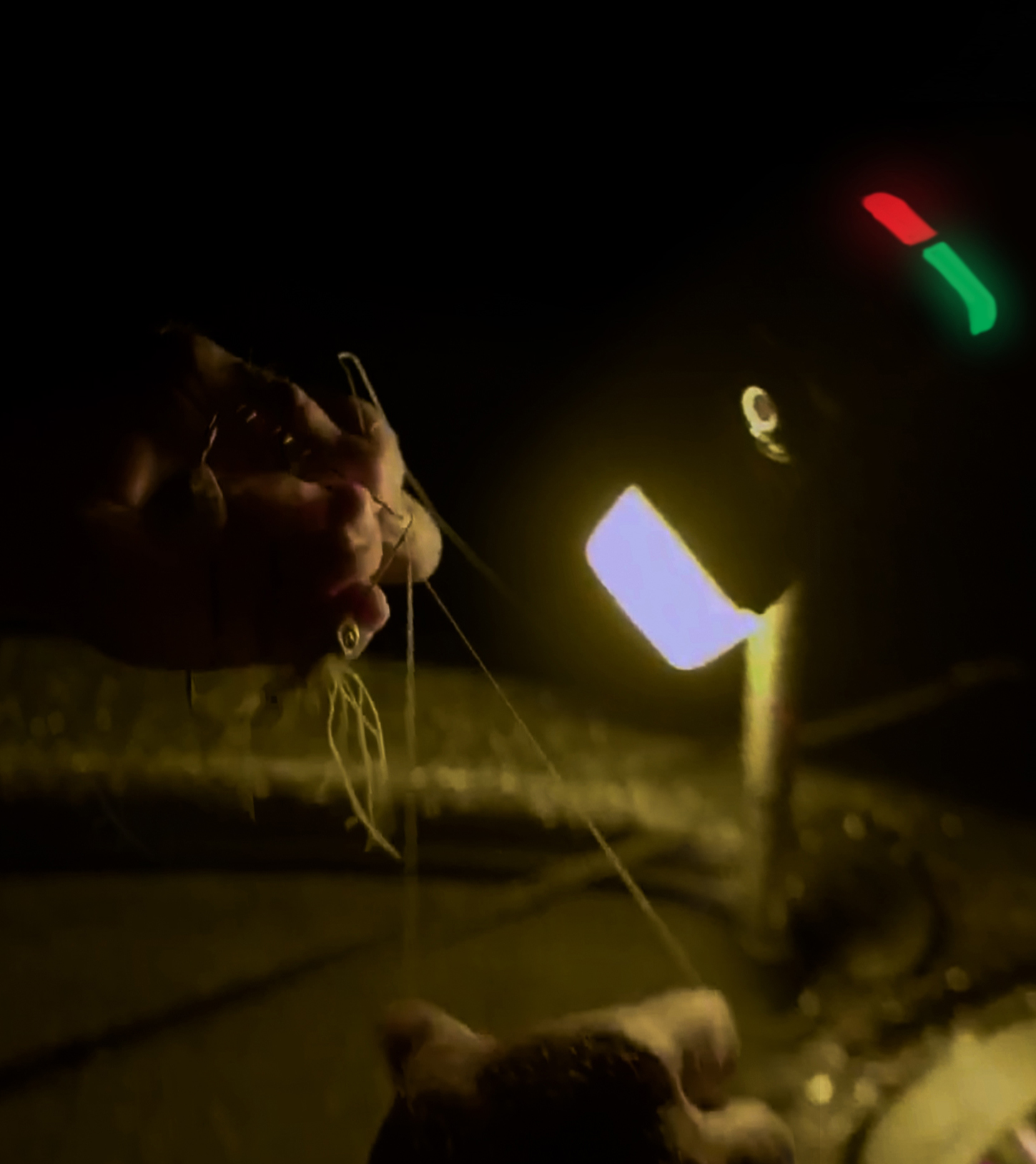 Firefly Marine at DD Outdoors - Light Up Your Adventures